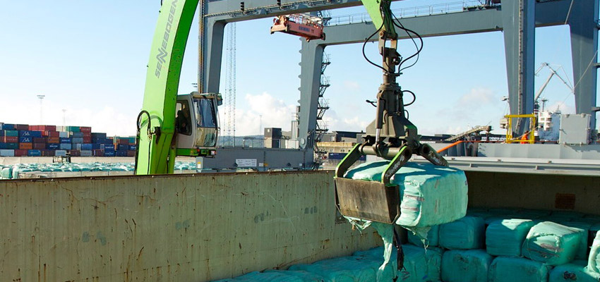 Port Operations – AlexMar Shipping Co.